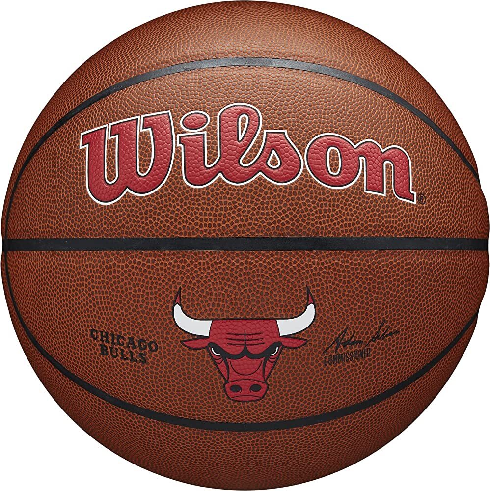 Wilson NBA Team Alliance Indoor/Outdoor Basketball